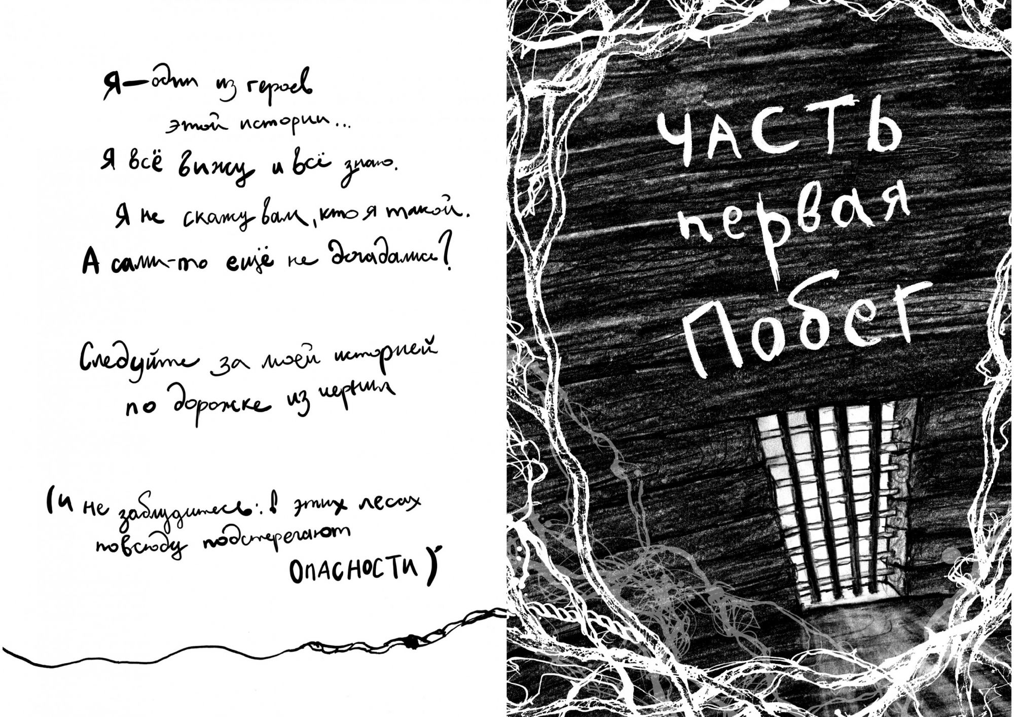 Волшебники страны Однажды. Двойная магия | Доставка по Европе