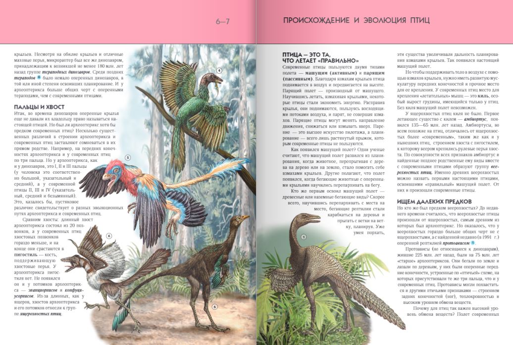 Птицы. Полная энциклопедия, Юлия Школьник | Доставка по Европе