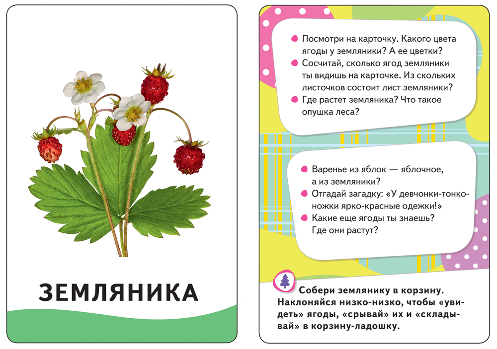 В лесу, серия Умные карточки | Доставка по Европе